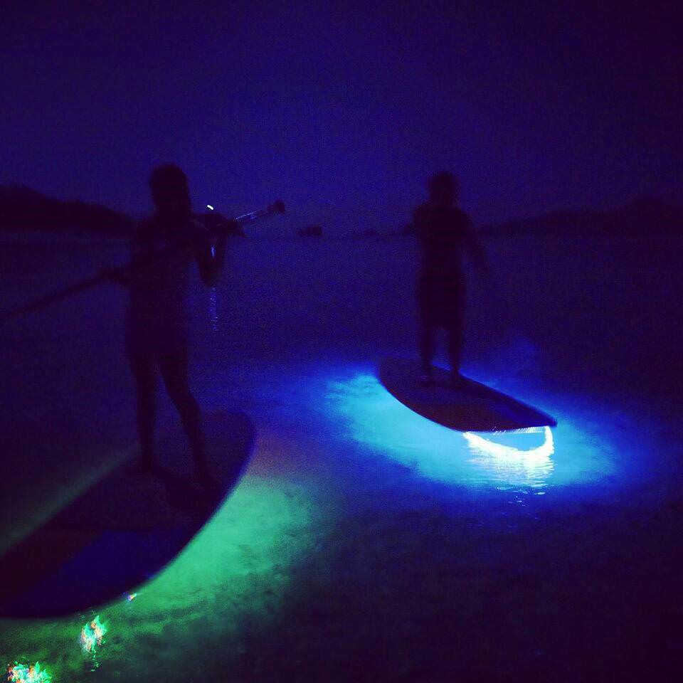 コース紹介 | COCO SUP